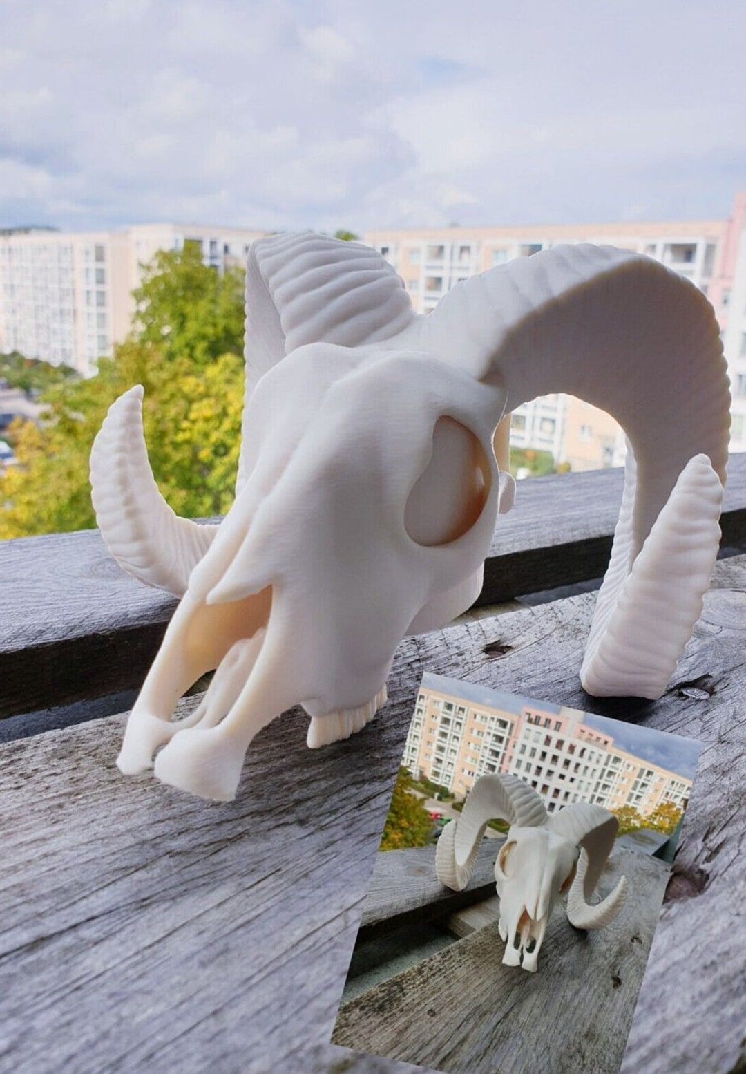 Cover Cap AHK Dodge Ram WIDDER SKULL Protective Cap - With Theft ...