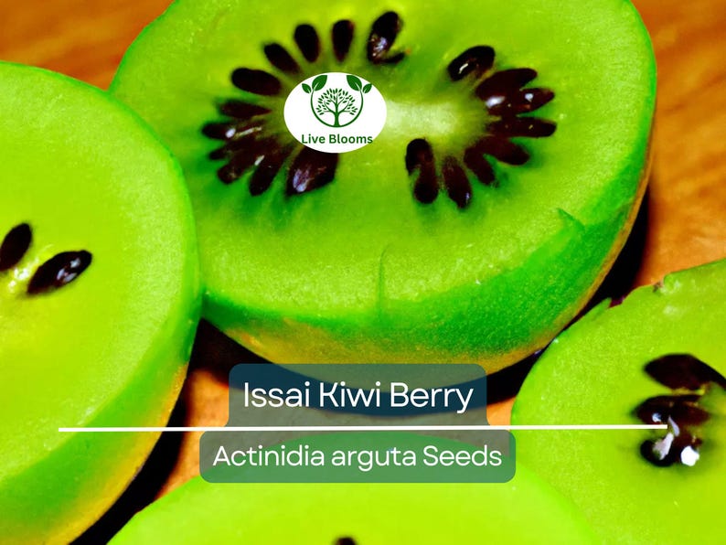 30 Issai Kiwi Berry Seeds | Arctic Grape, Kiwiberry | Fast-growing ...
