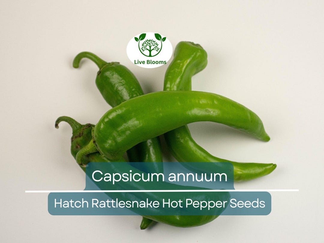 250 Mg Seeds Hatch Rattlesnake Hot Pepper – Capsicum Annuum | Heirloom ...