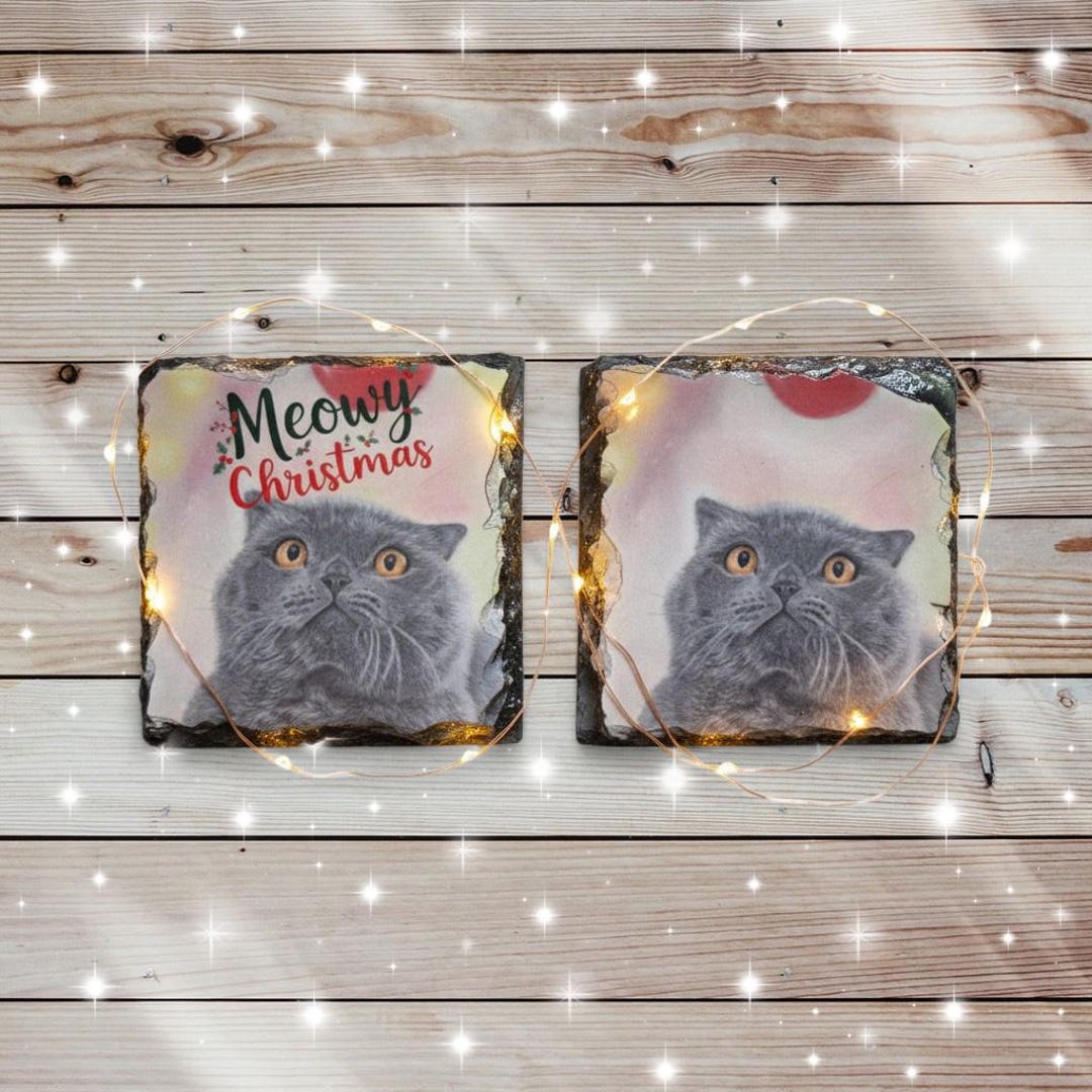 Christmas Cat Slate Coaster – Festive Hand Drawn Art, Stocking Filler ...
