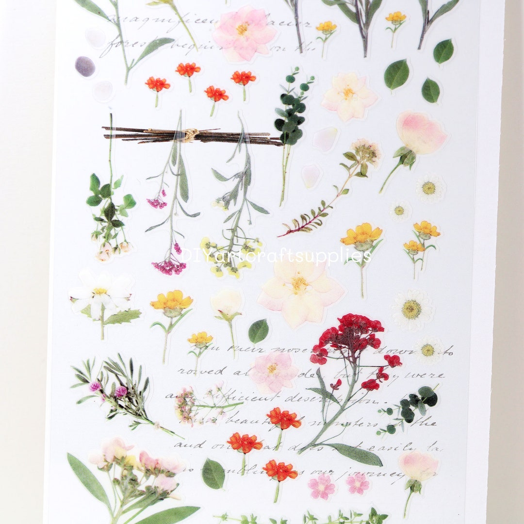 Botanical Flower Sticker Sheet, Kawaii Wildflower Stickers - Etsy
