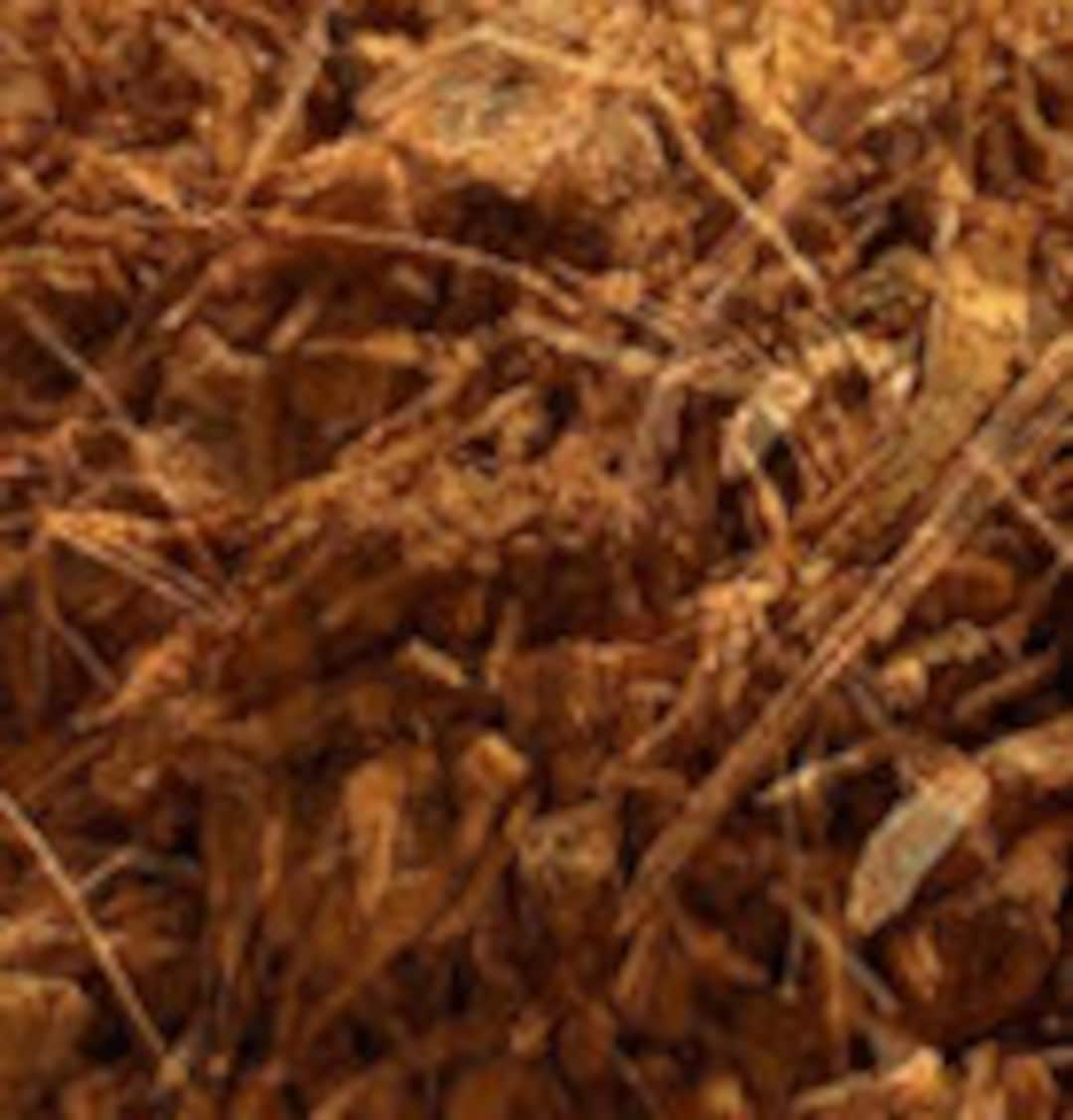 Wild Jamaican Chaney Root - Etsy