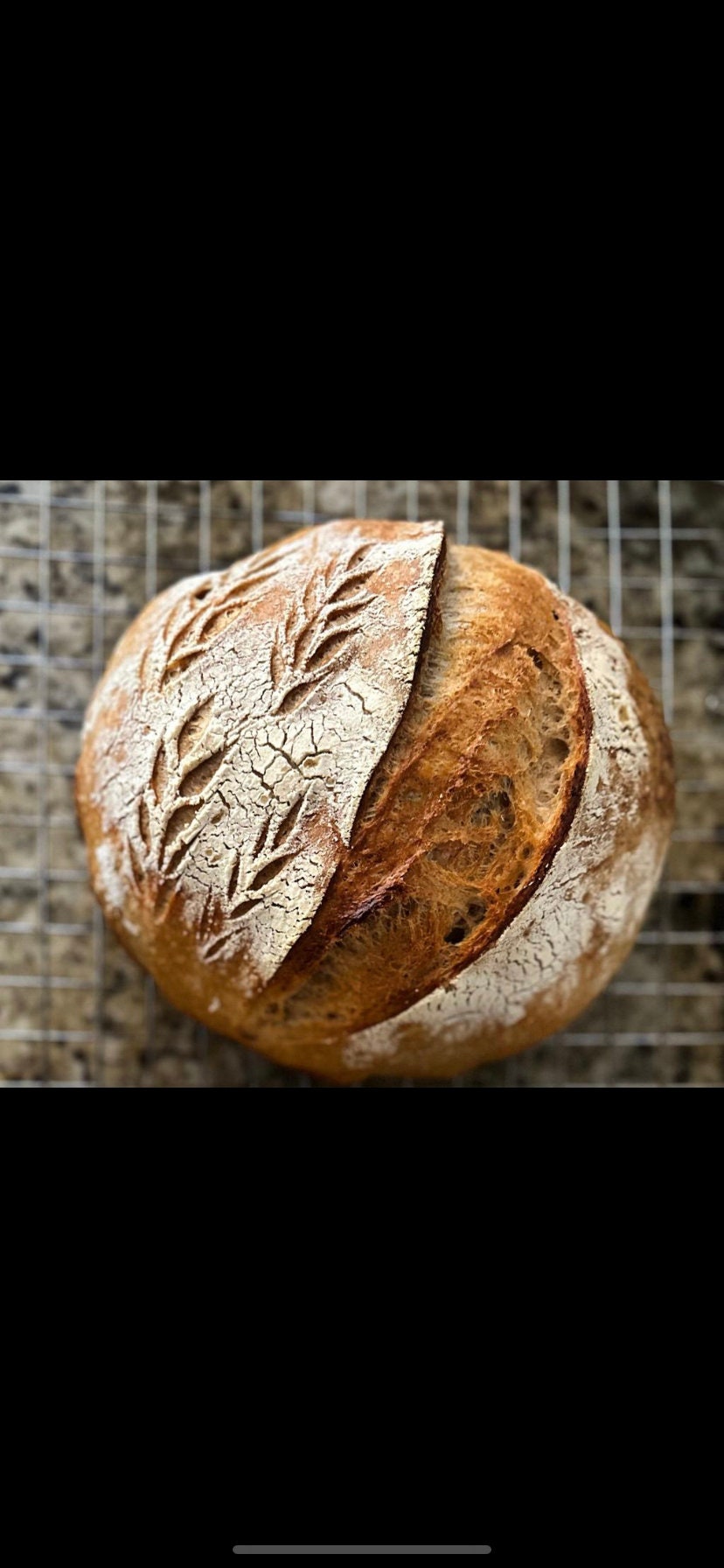 The Original Sourdough Bread - Etsy
