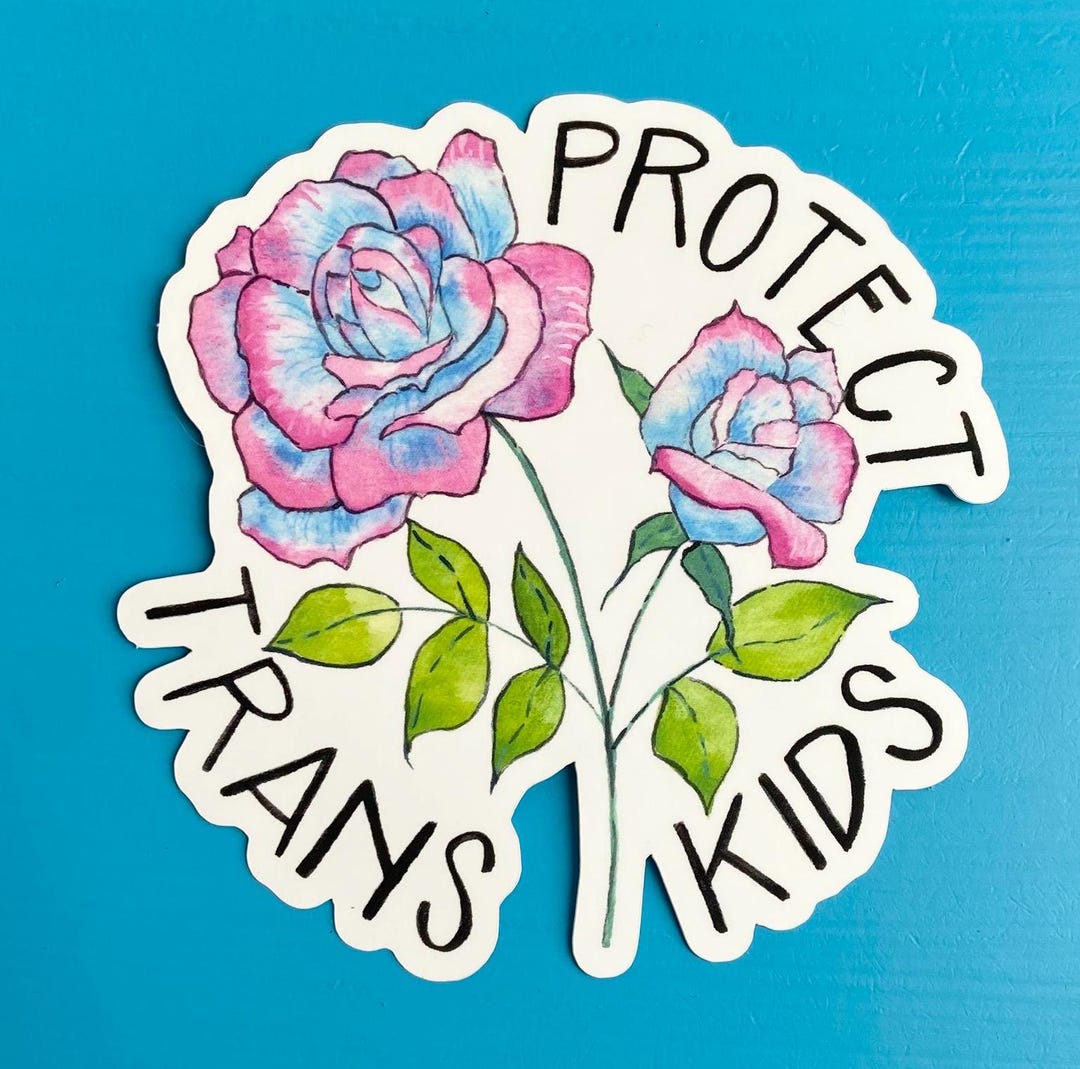 Trans Kid Sticker Pride Decal LGBTQIA Design Queer Gift Protect Trans ...
