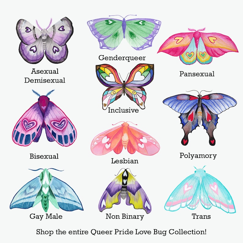 Trans Love Moth Sticker LGBTQ Sticker Pack Queer Love Bug Valentine ...