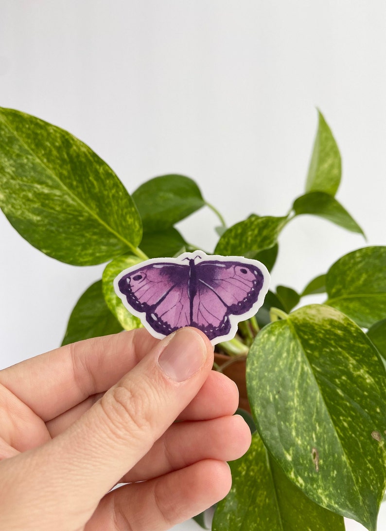 Butterfly Sticker Travel Mug Vinyl Laptop Decal Cottagecore Sticker ...