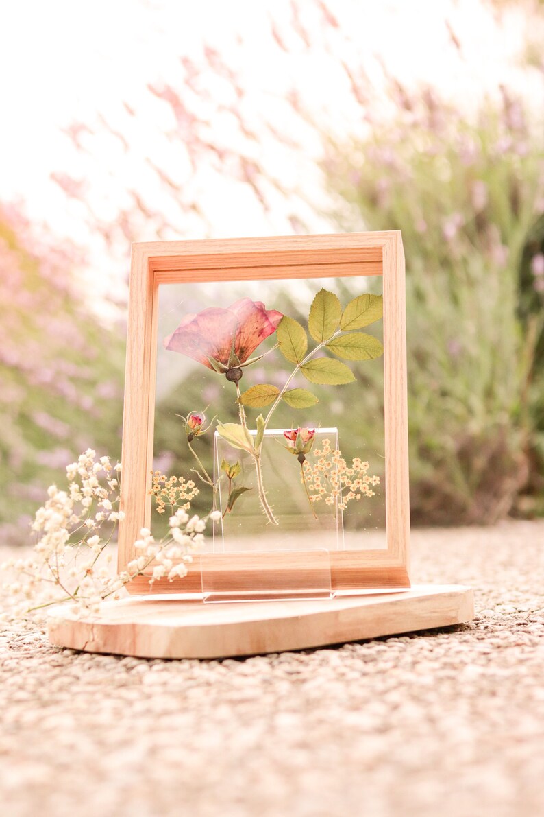 Dried Flower Frame, Pressed Flowers, Dried Flower Painting, Flower ...