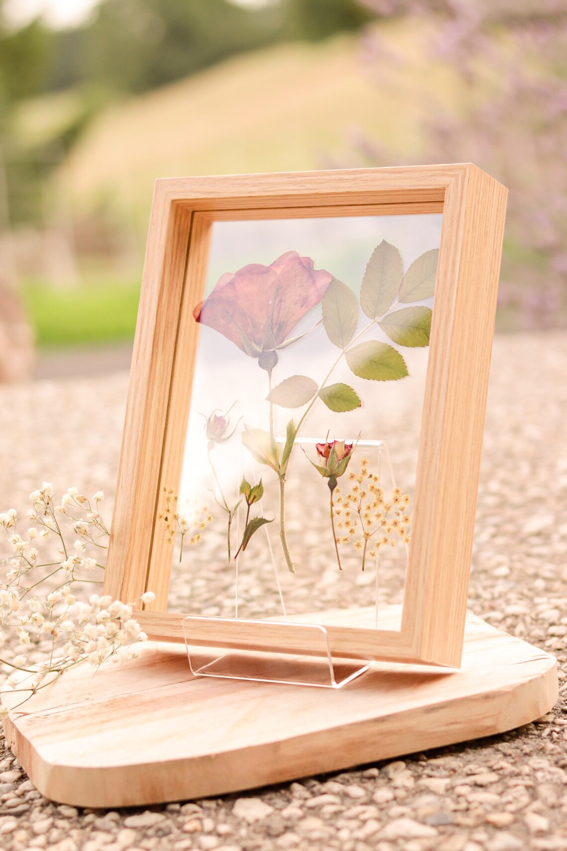 Dried Flower Frame, Pressed Flowers, Dried Flower Painting, Flower ...