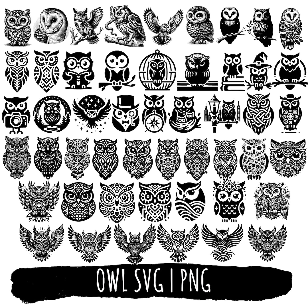 50 Owl SVG | PNG - Etsy