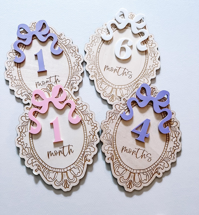 Baby Monthly Milestone Discs, Baby Name Sign for Hospital, Baby Girl ...