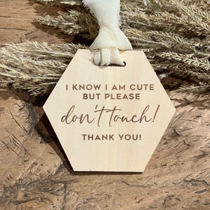 I Know I Am Cute but Please Do Not Touch Baby Car Seat Tag, Wash Your ...