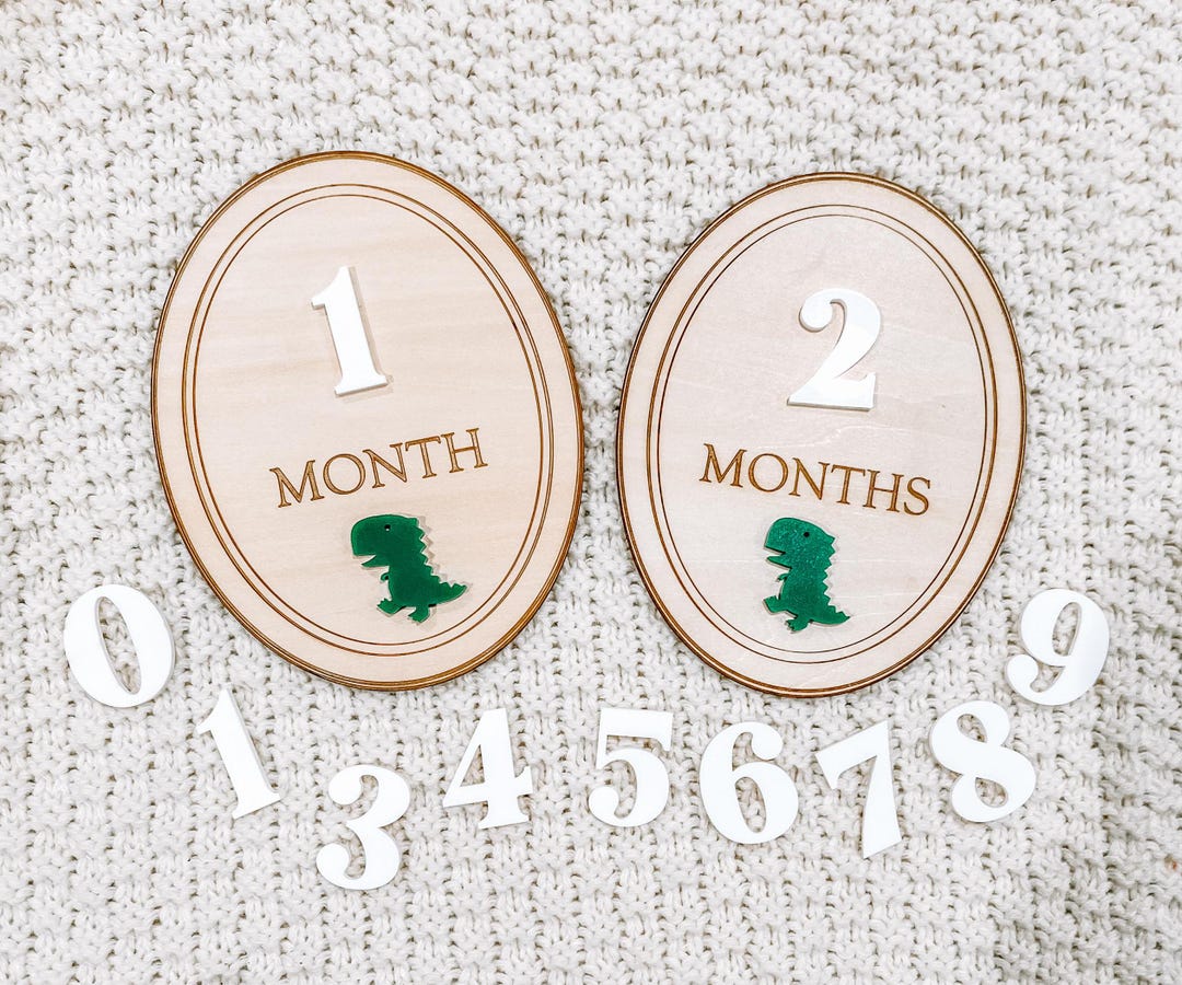 Dinosaur Monthly Milestone Markers, Monthly Photo Sign, Dino Milestone ...