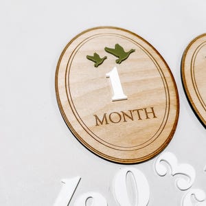 Duck Monthly Milestone Markers, Monthly Photo Sign, Mallard Milestone ...