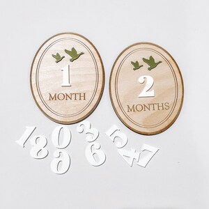 Duck Monthly Milestone Markers, Monthly Photo Sign, Mallard Milestone ...
