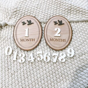 Duck Monthly Milestone Markers, Monthly Photo Sign, Mallard Milestone ...