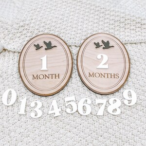 Duck Monthly Milestone Markers, Monthly Photo Sign, Mallard Milestone ...