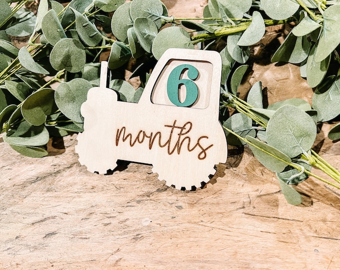 Baseball Baby Monthly Milestone Marker, Boy Monthly Photo Sign ...