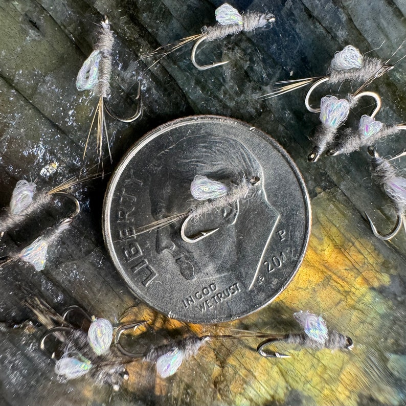 Sparkle Wing RS2 6 - Etsy