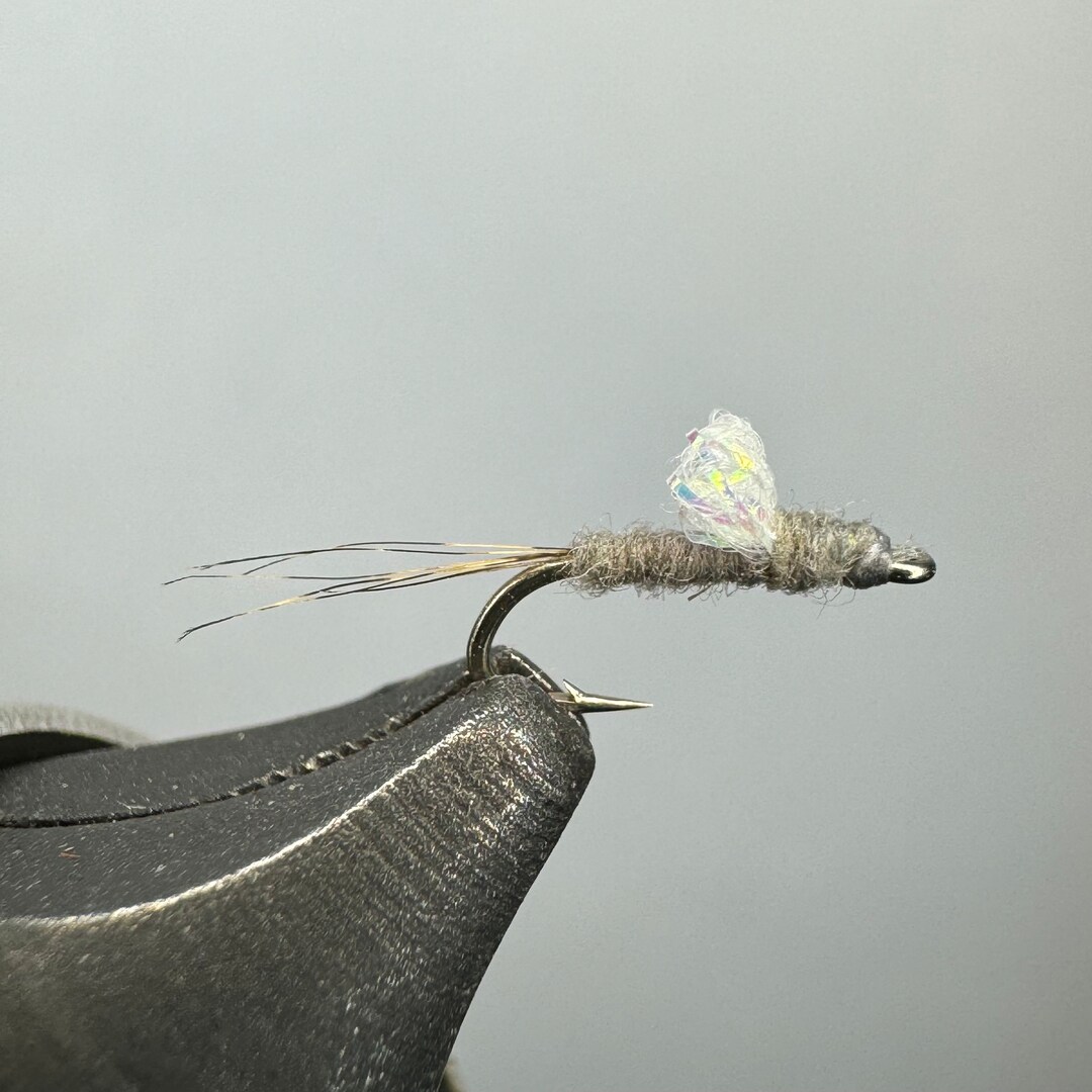 Sparkle Wing RS2 6 - Etsy