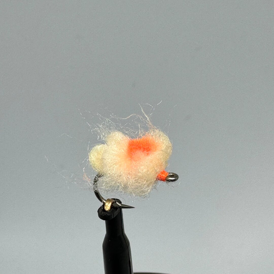 Blood Dot Egg Fly 6 - Etsy