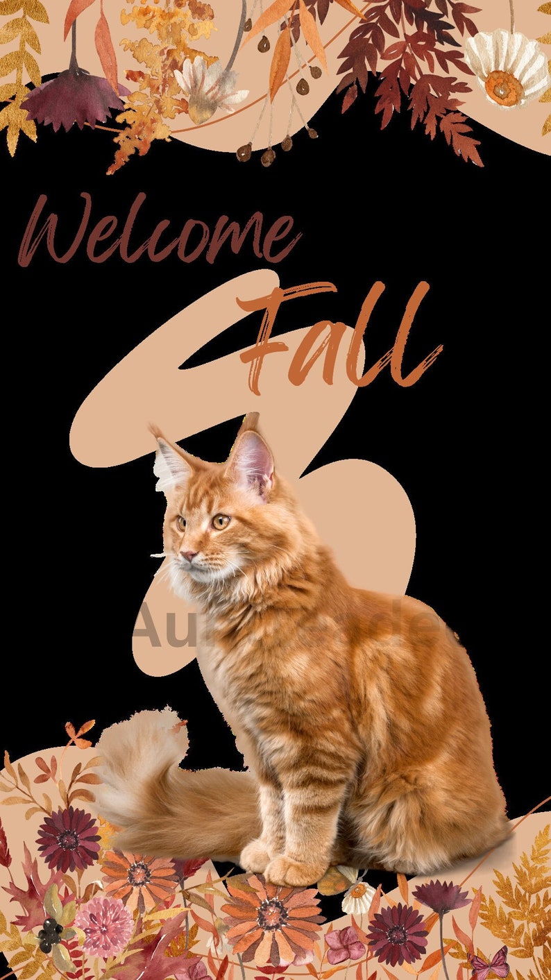 Welcome Fall Cat Clip Art High Quality Png - Etsy