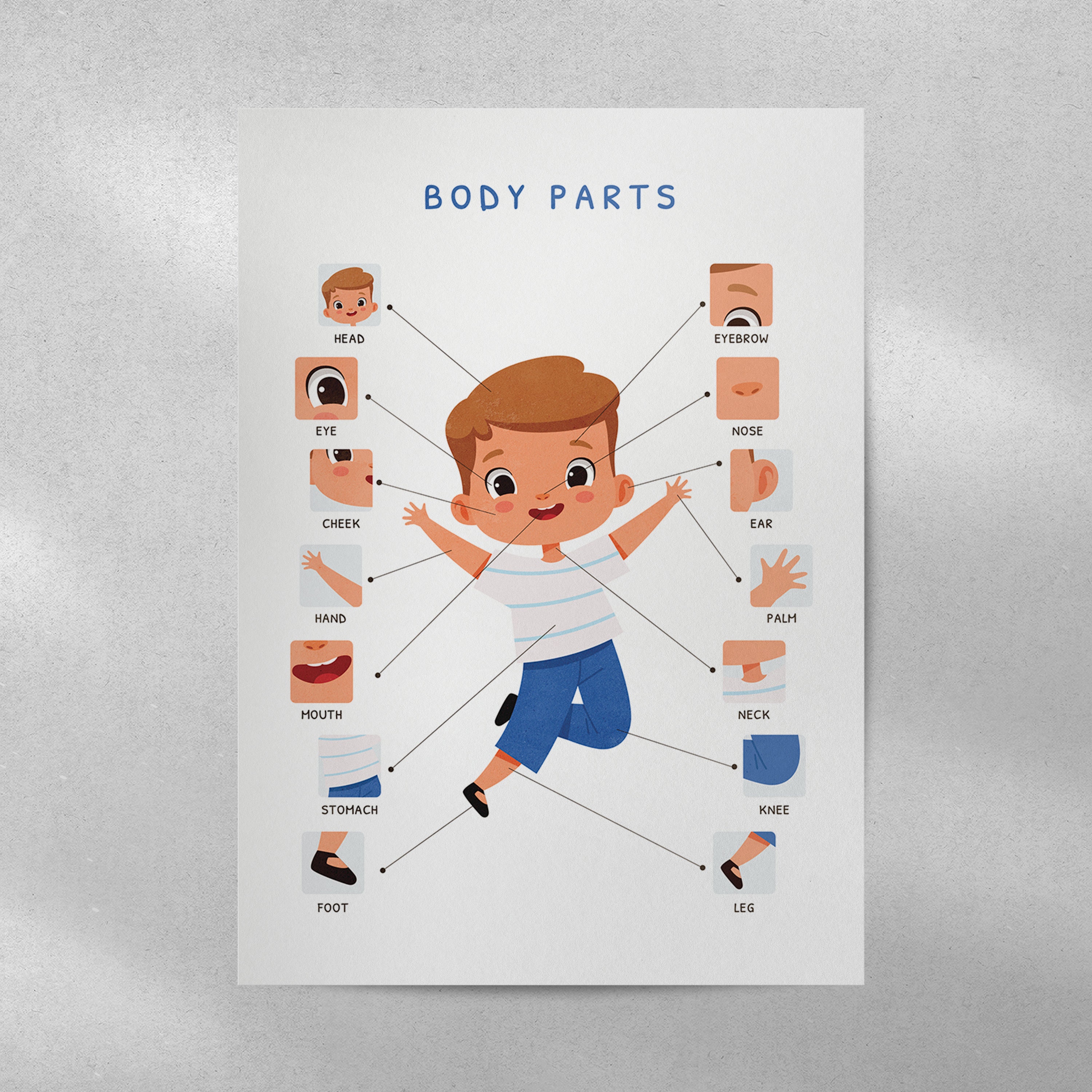 Body Parts, Educational Poster, Printable Wall Art, Digital Download ...