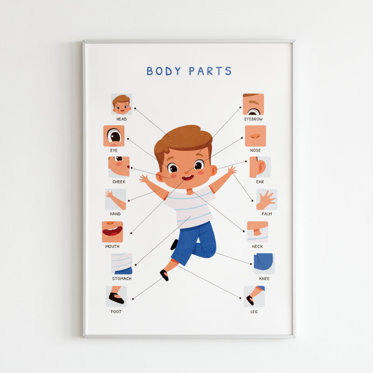 Body Parts, Educational Poster, Printable Wall Art, Digital Download ...