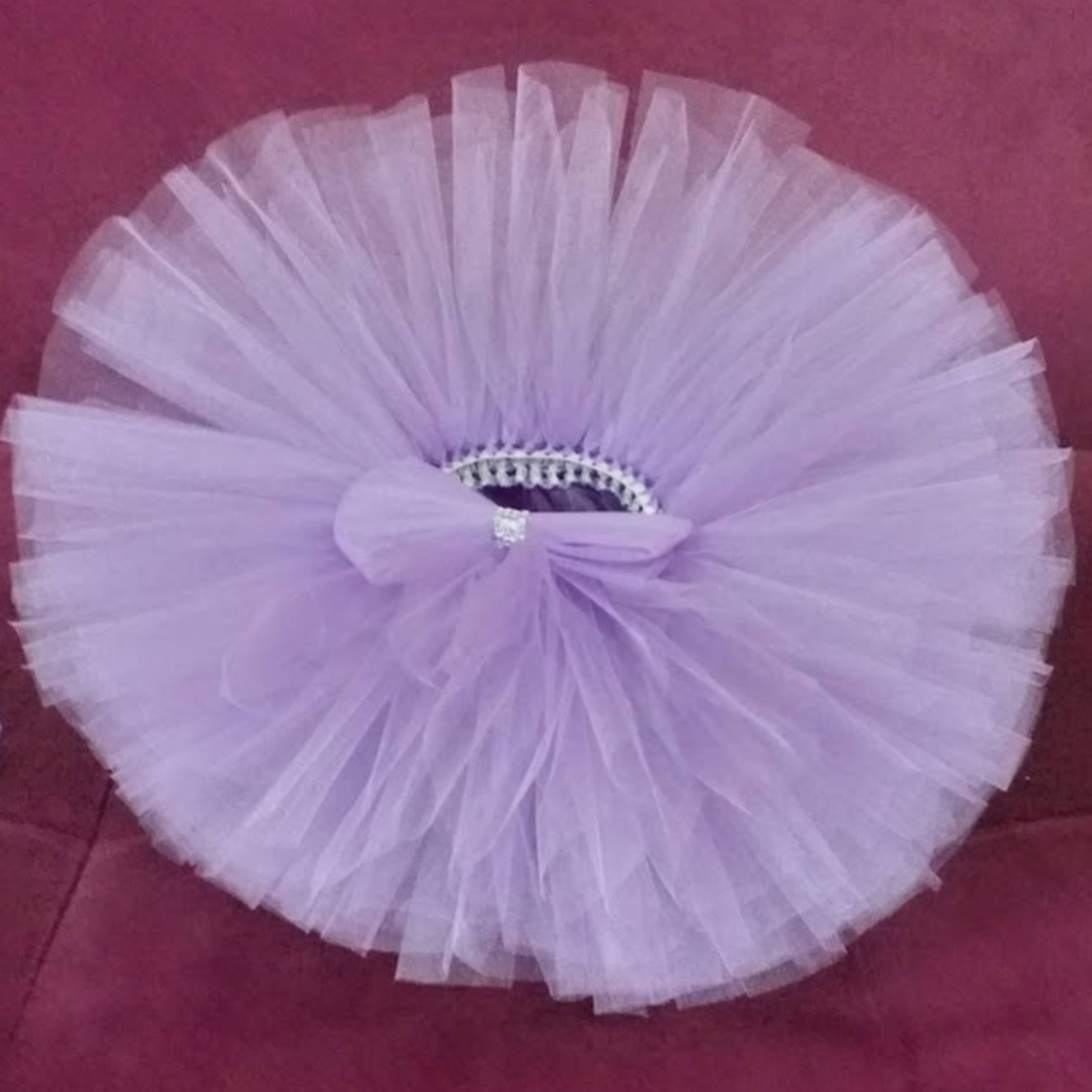 Customizable Special Tutu,princess Tutu,can Be Personalized Tutu Set - Etsy