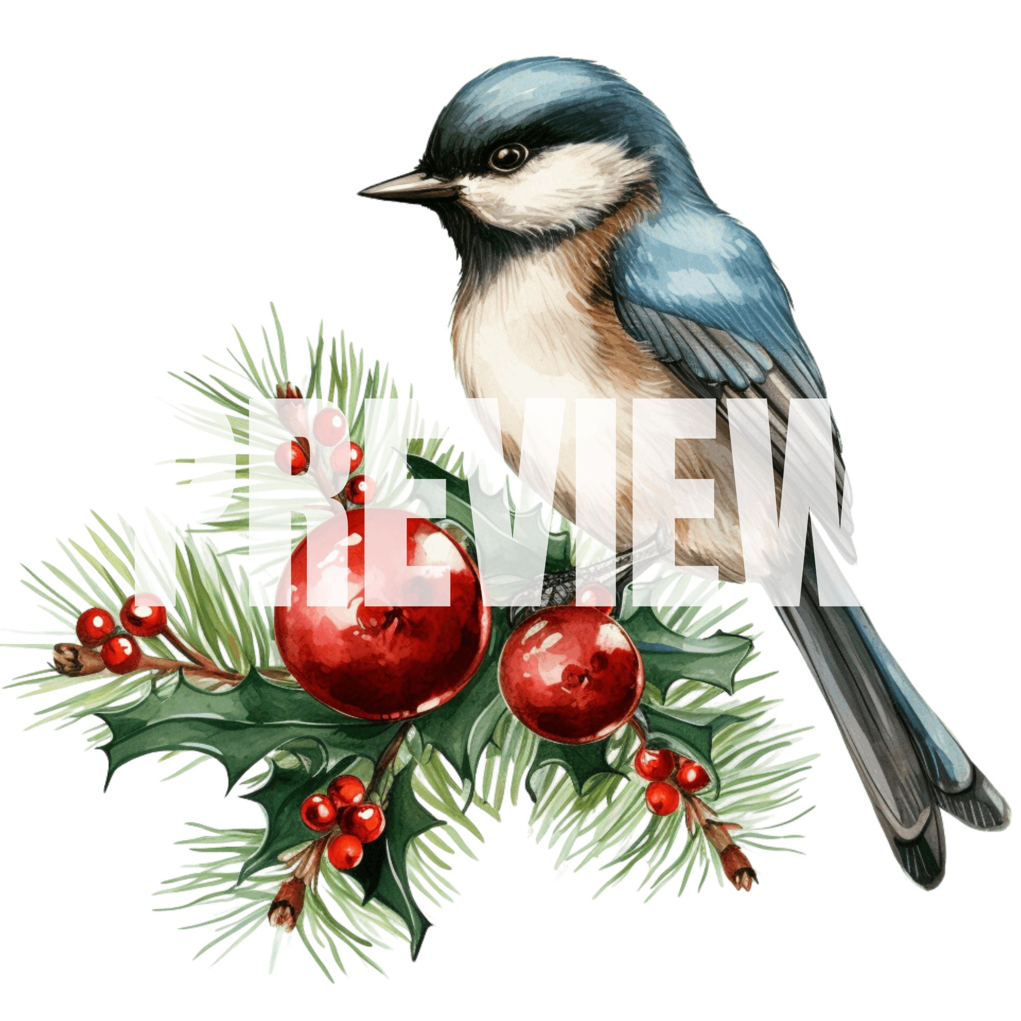Christmas Blue Robin Clipart, Christmas Clip Art and Image File, Cute ...