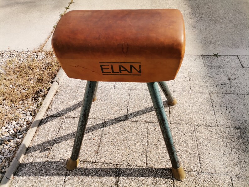 Vintage Gymnastic Vaulting Horse / Gymnastic Sporting Equipment / Horse ...