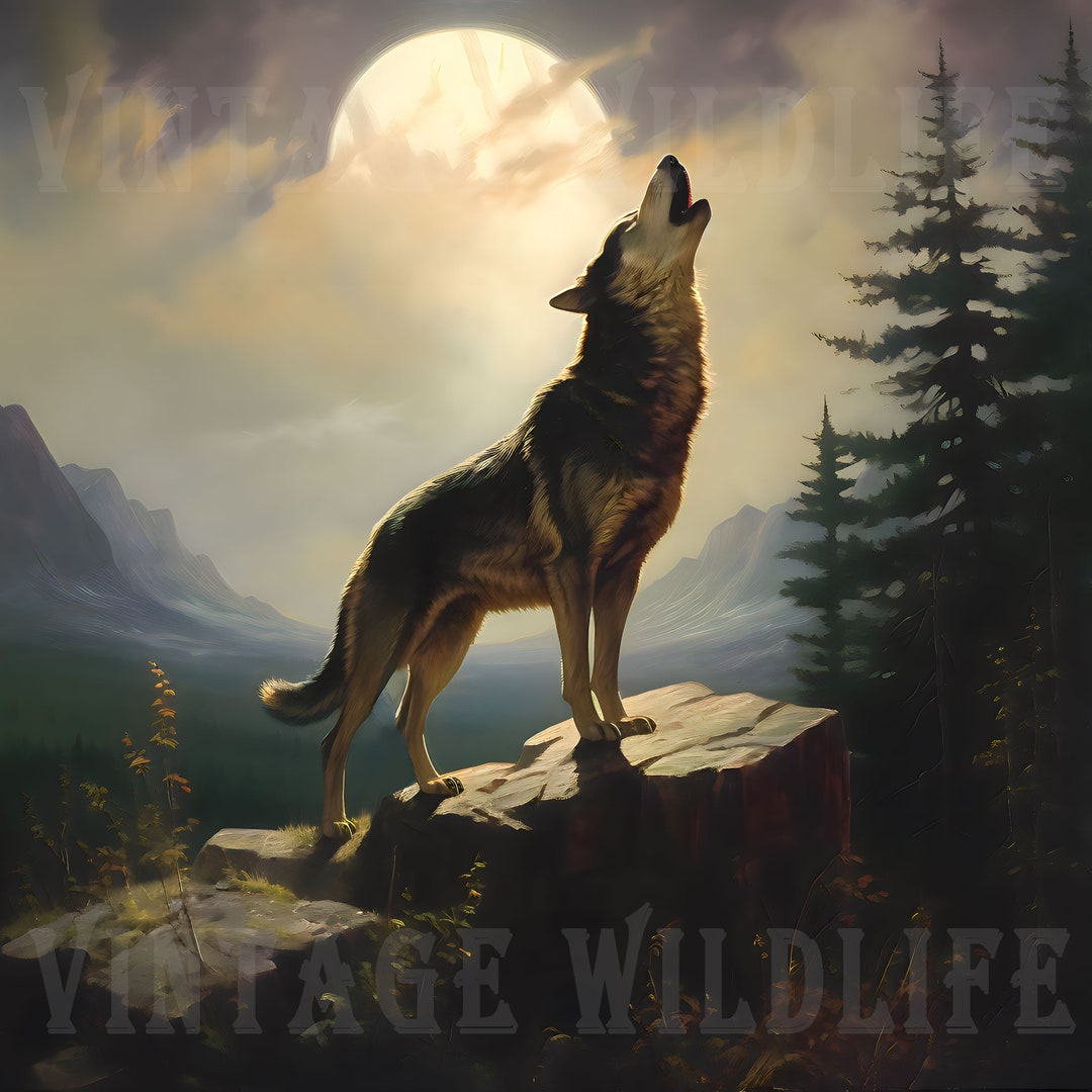Howling Wolf - SVG and PNG! Sublimation Design for Wolf Shirt, Wolf ...