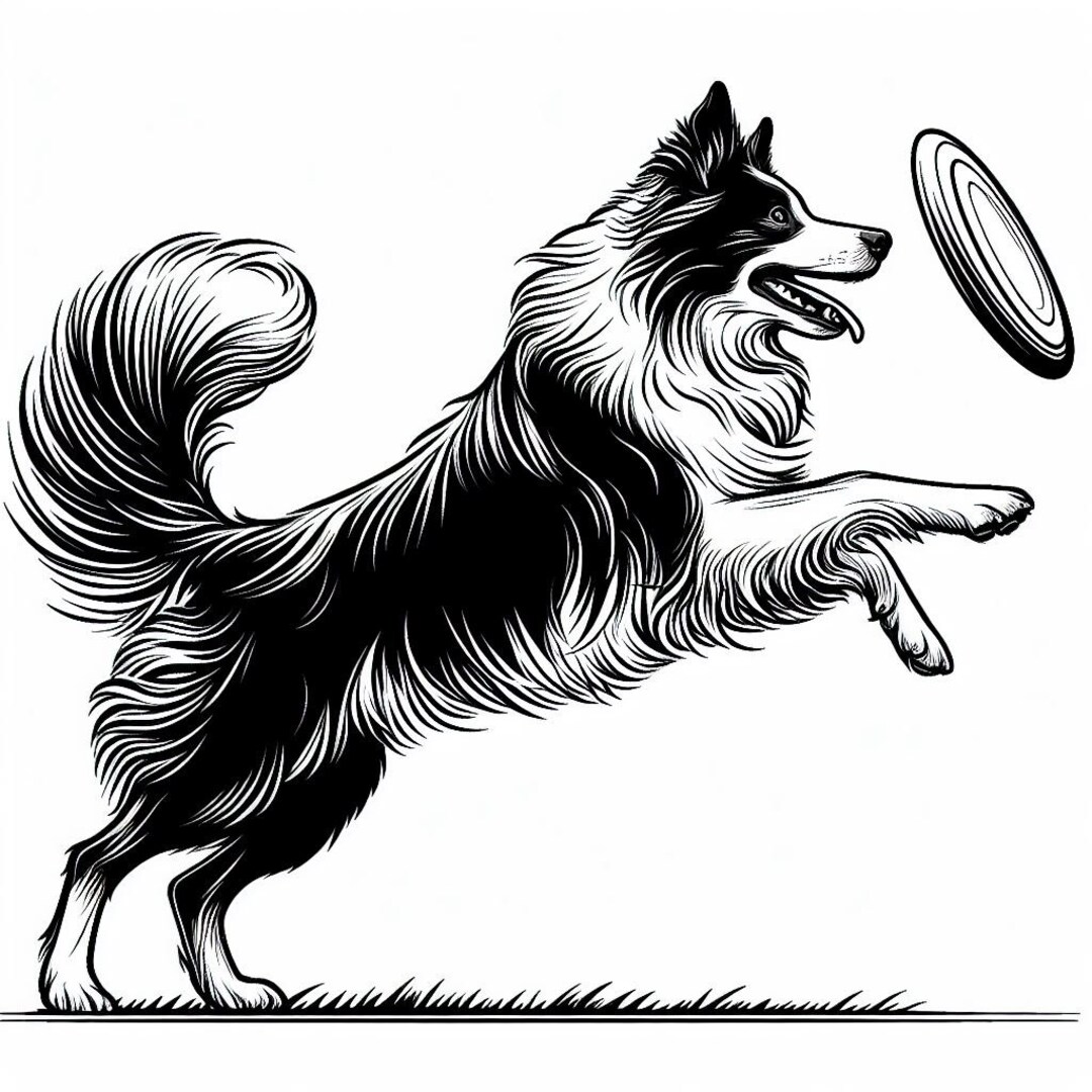 Border Collie Frisbee Fun: Agility and Intelligence Breed Design line ...