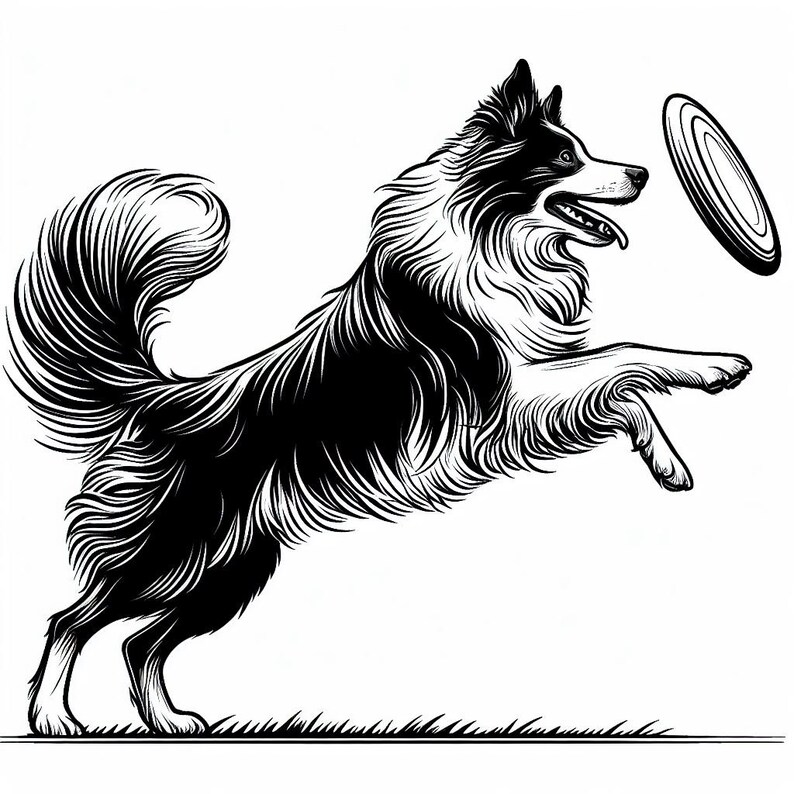 Border Collie Frisbee Fun: Agility and Intelligence Breed Design line ...