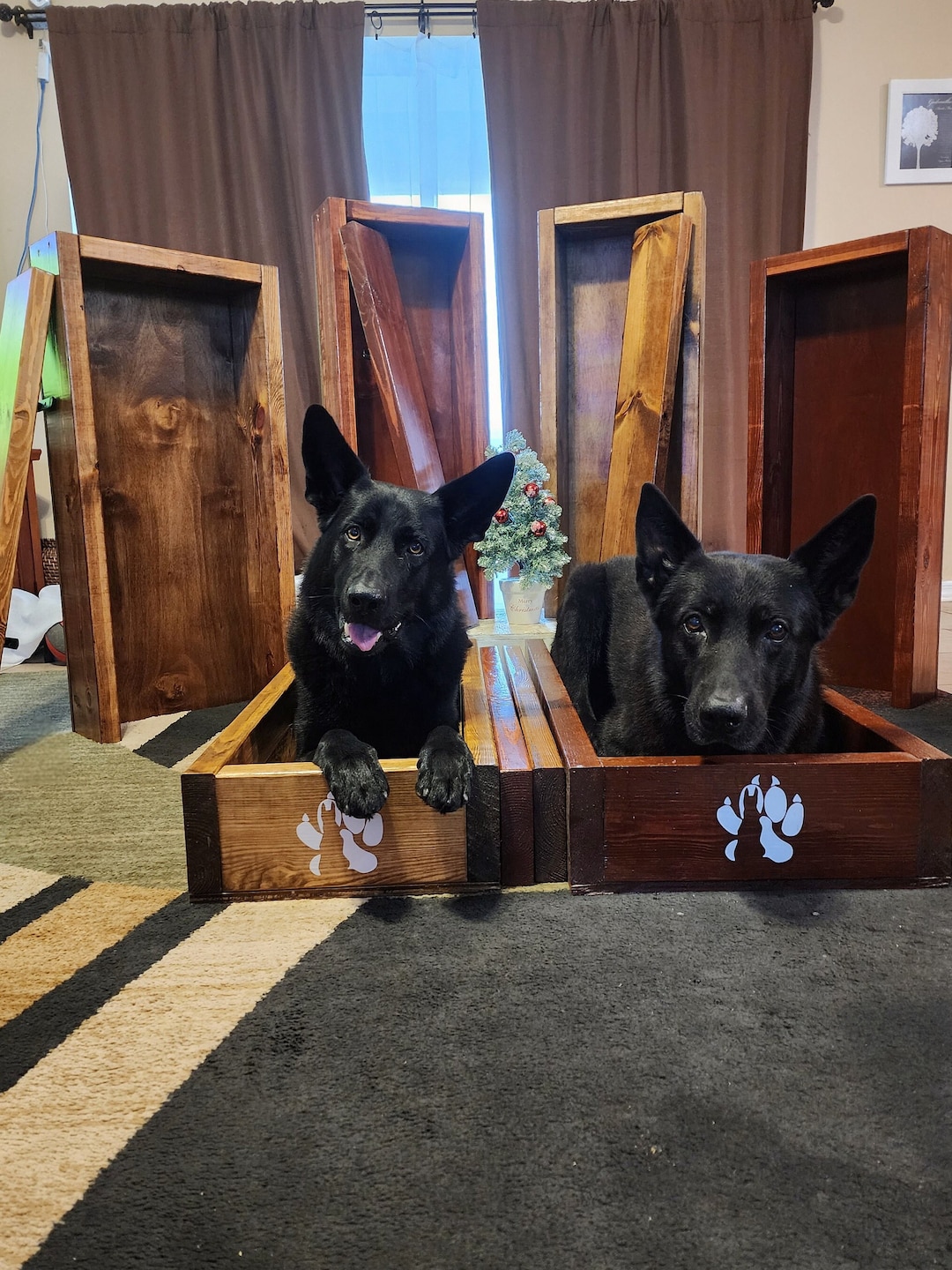 Dog Training Position Box: Static Location Trainer, Customizable - Etsy