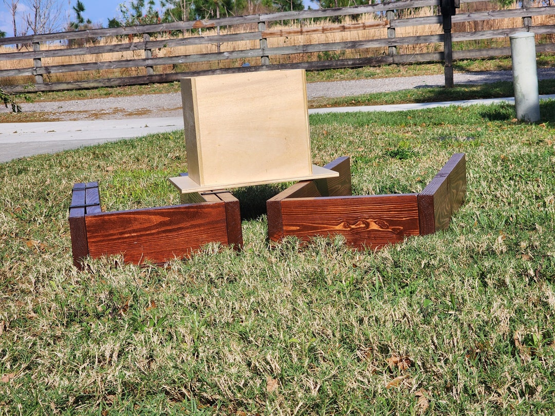 Dopamine Feeding Box - Etsy