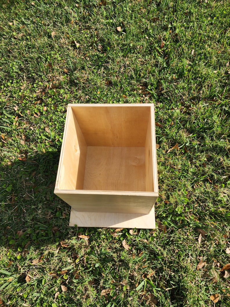 Dopamine - Feeding Box - Etsy