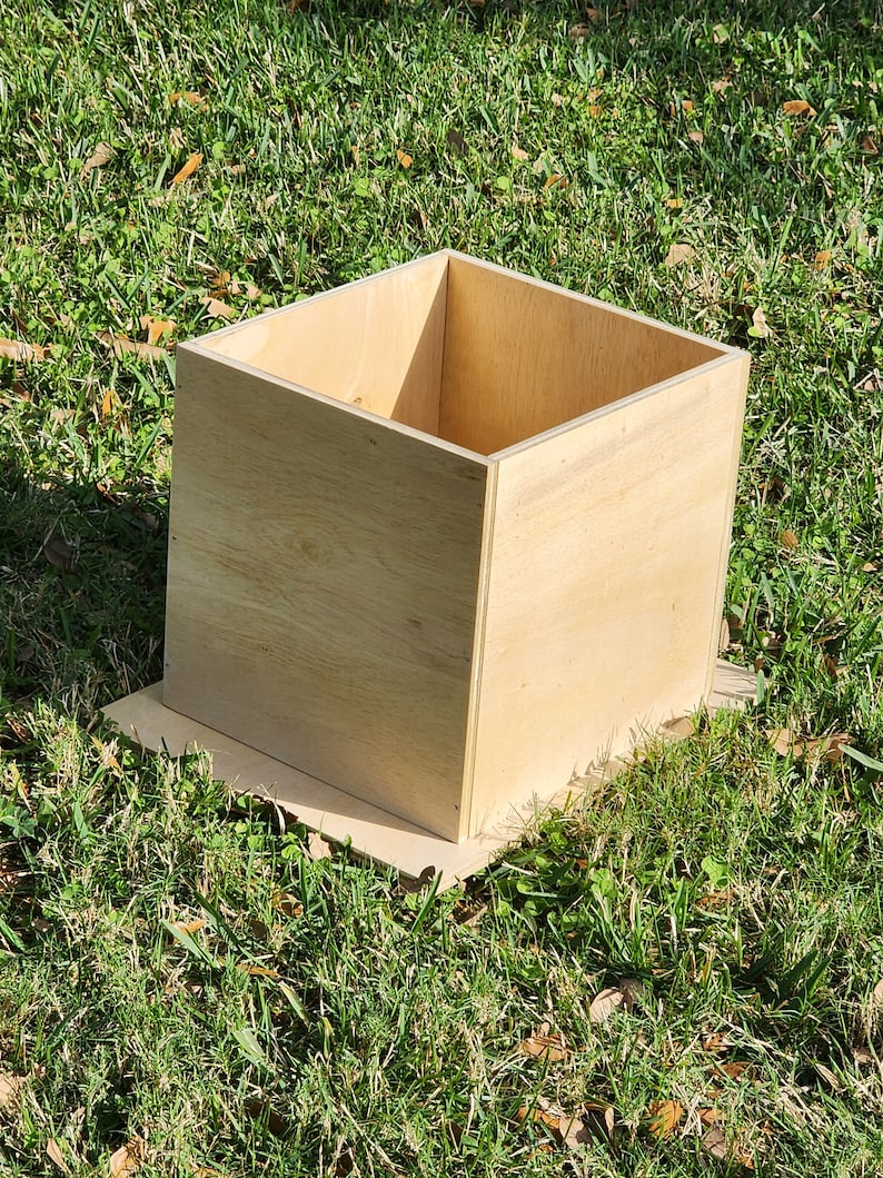 Dopamine - Feeding Box - Etsy