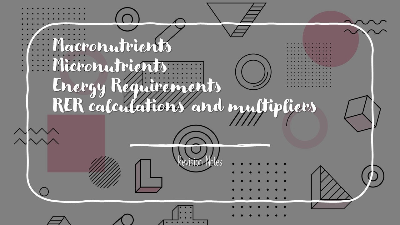 Animal Nutrition Revision Notes - Etsy