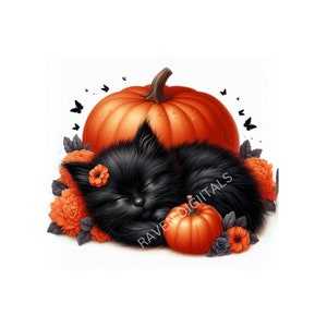Black Cat Clipart, Halloween Cats, Pumpkin Clipart,20 PNG Transparent ...
