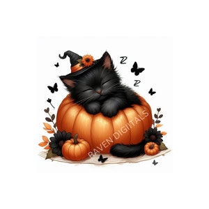 Black Cat Clipart, Halloween Cats, Pumpkin Clipart,20 PNG Transparent ...