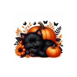 Black Cat Clipart, Halloween Cats, Pumpkin Clipart,20 PNG Transparent ...