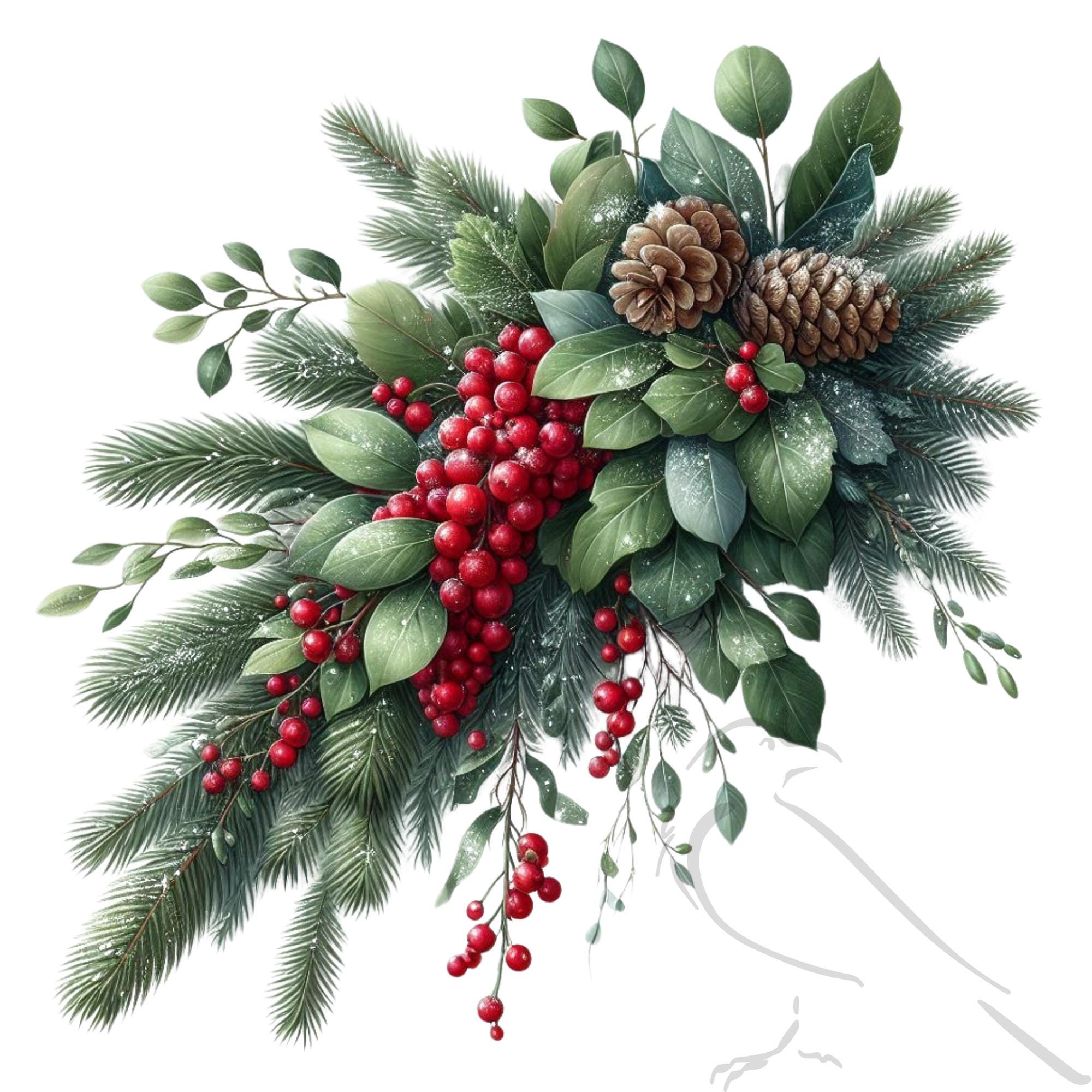 Watercolor Christmas Clipart: Holly & Greenery PNG Set (commercial Use ...