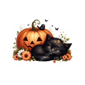 Black Cat Clipart, Halloween Cats, Pumpkin Clipart,20 PNG Transparent ...