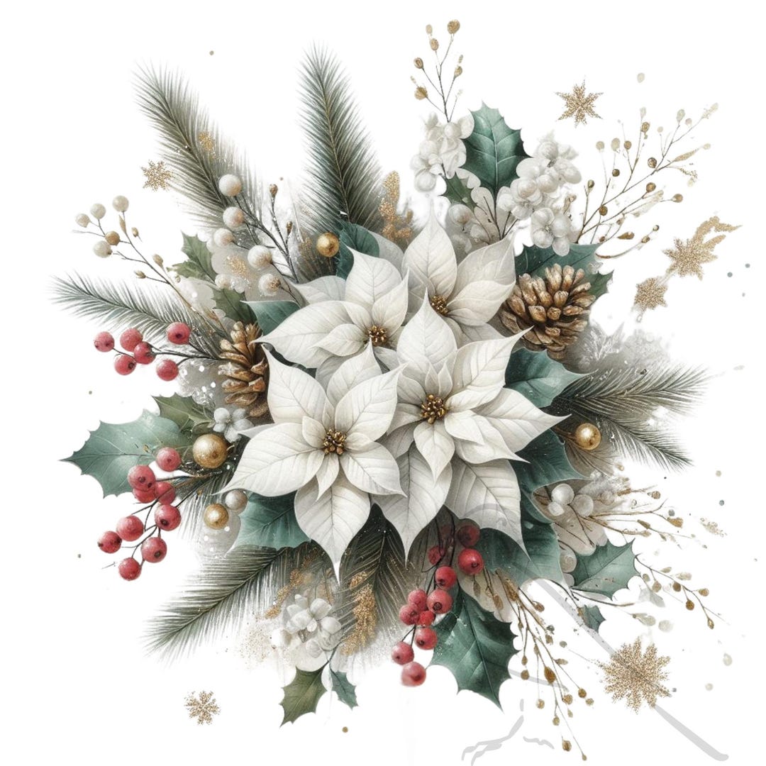 Christmas Clipart PNG, Floral Clipart, Poinsettia Florals, 12 ...