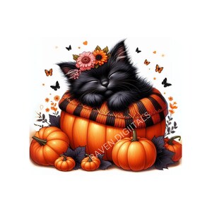 Black Cat Clipart, Halloween Cats, Pumpkin Clipart,20 PNG Transparent ...