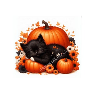 Black Cat Clipart, Halloween Cats, Pumpkin Clipart,20 PNG Transparent ...
