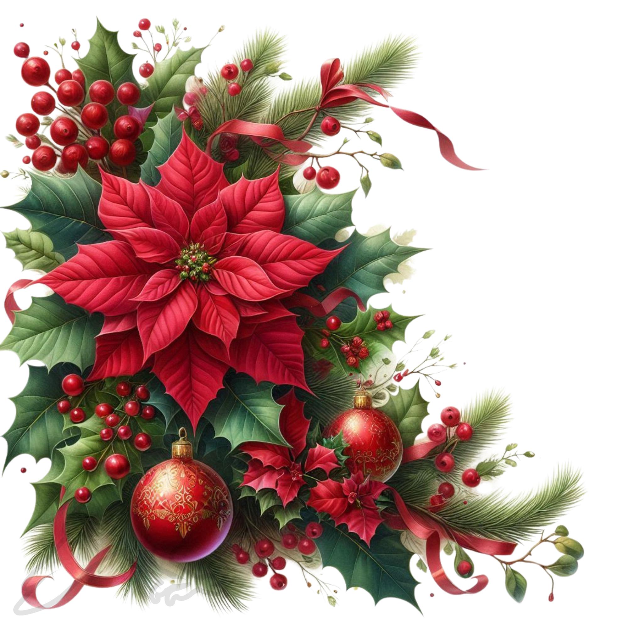 Christmas Clipart PNG, Floral Clipart, Poinsettia Florals, 10 ...