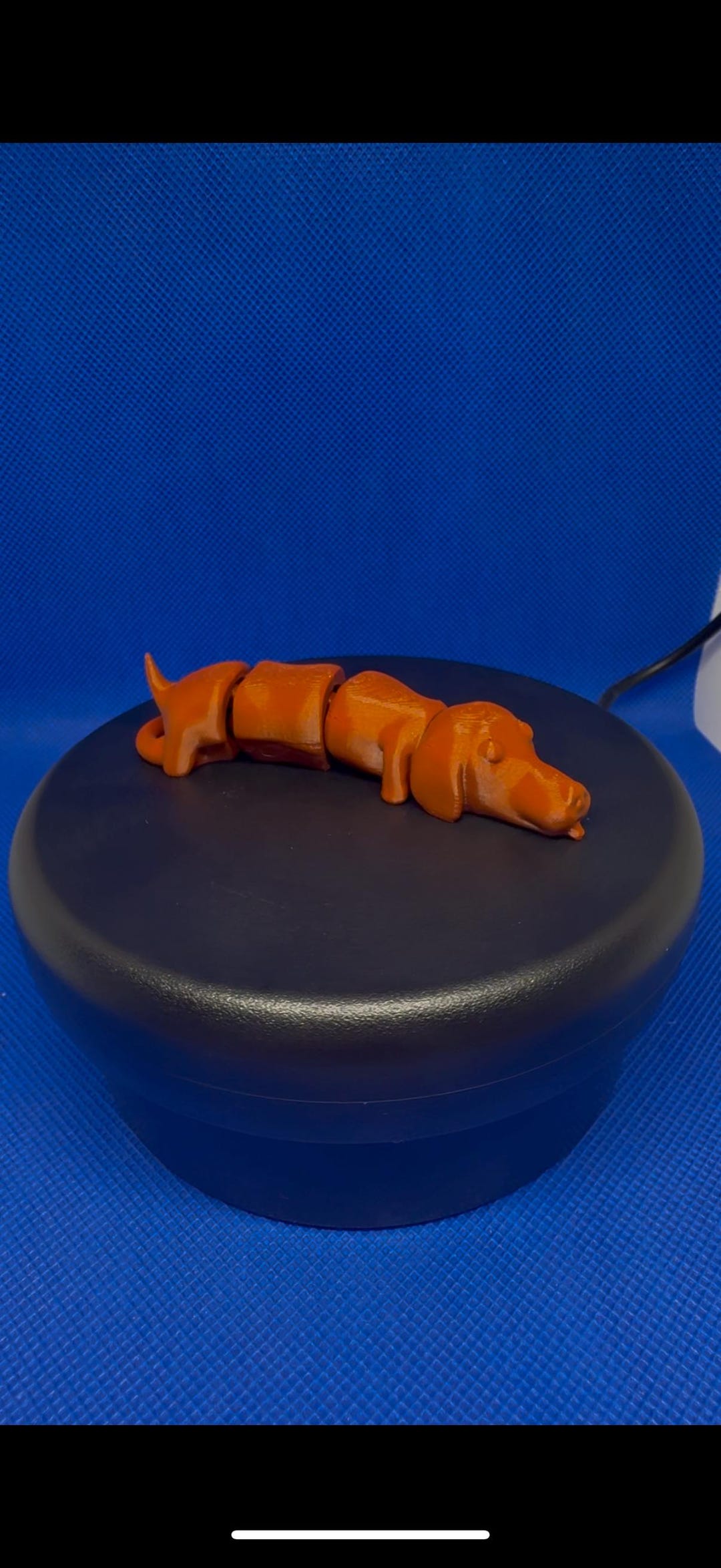 Fidget Toy Dash Hound Dog - Etsy