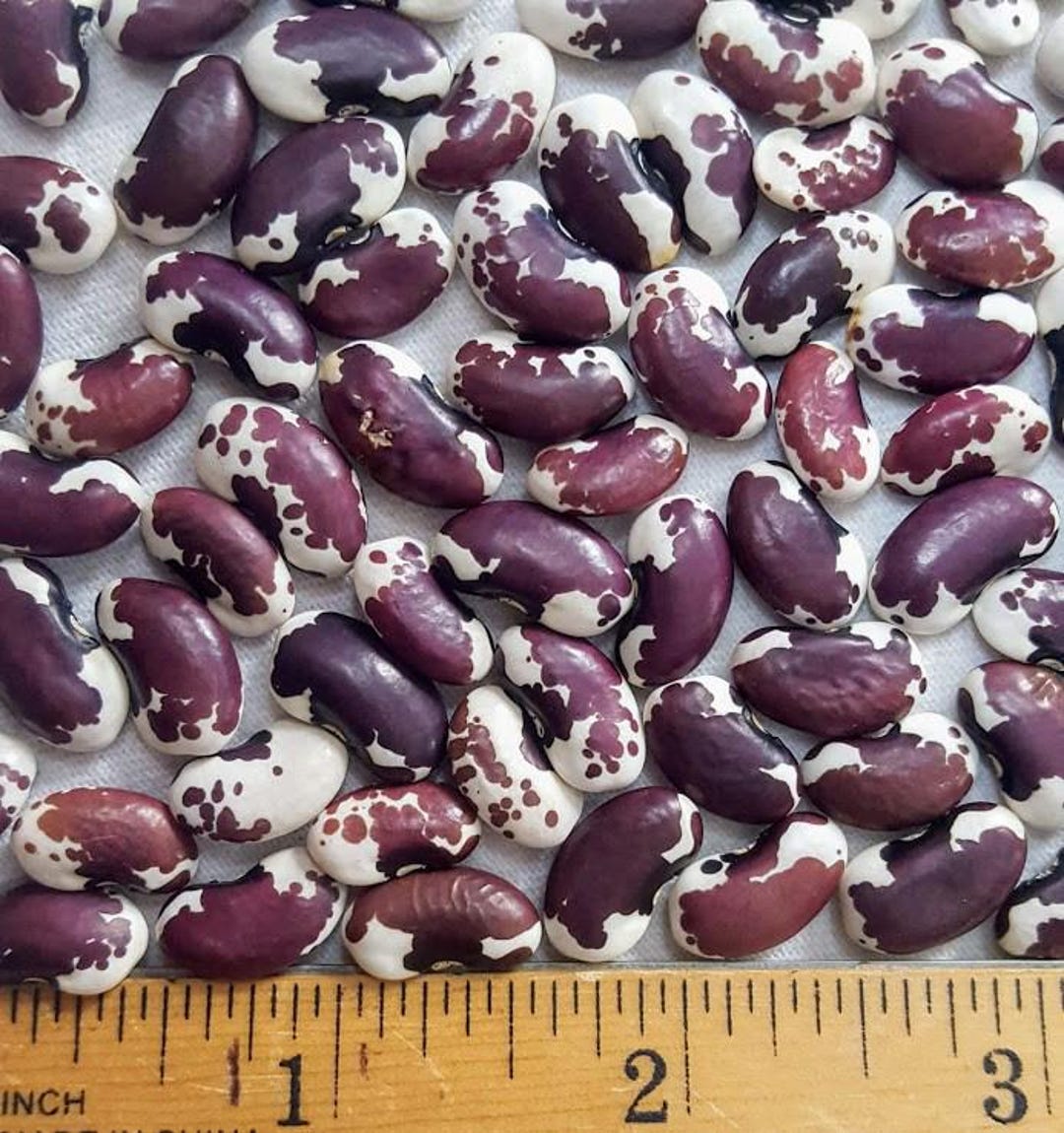 Gila River - Pole Dry - Etsy