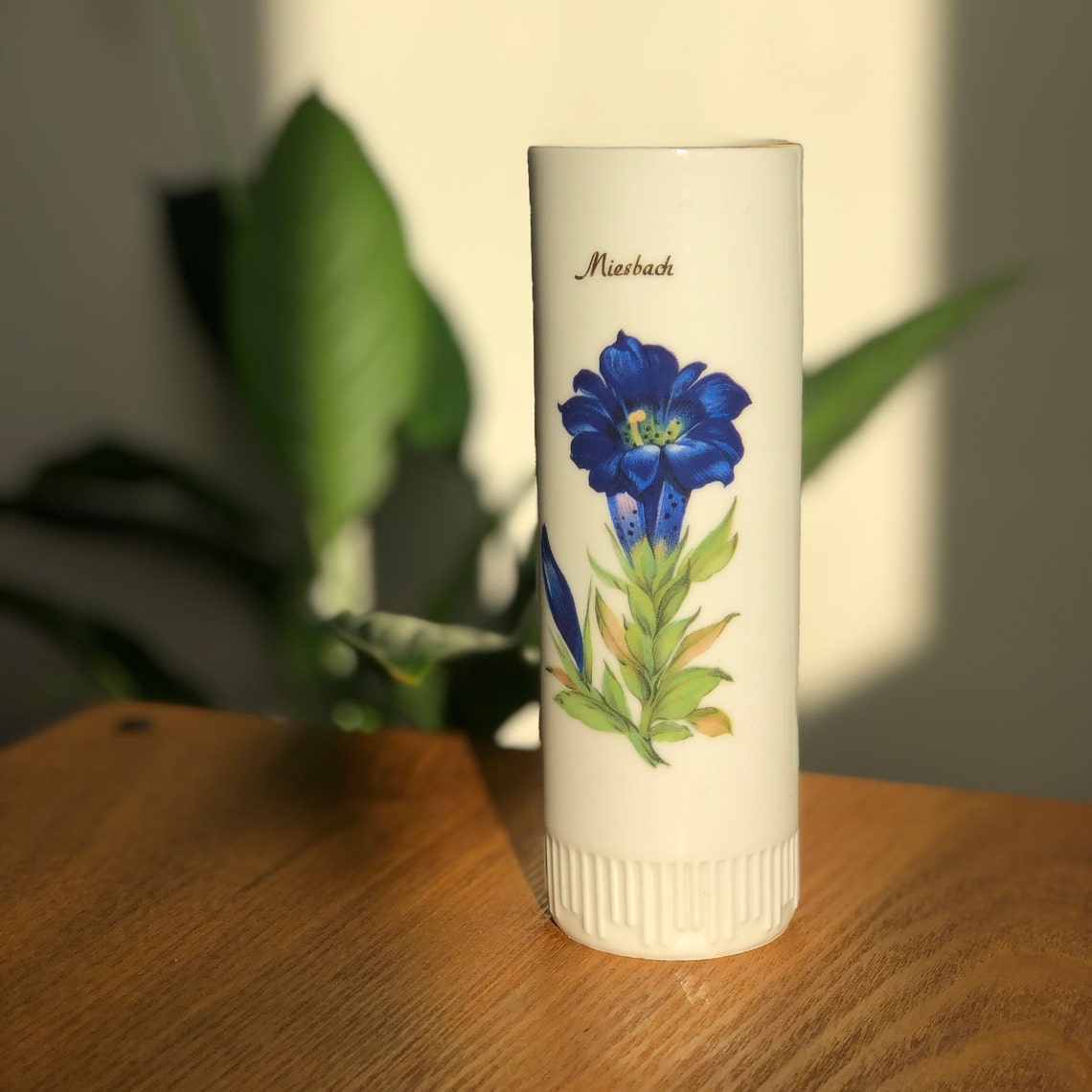 Vintage Plankenhammer Floss Bavaria Porcelain Hand Painted Vase. Made ...